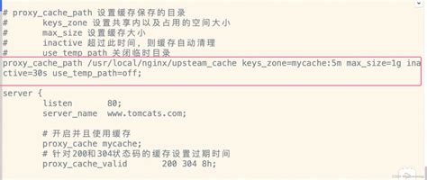 Nginx 缓存 Csdn博客 Nginx 缓存 Csdn博客