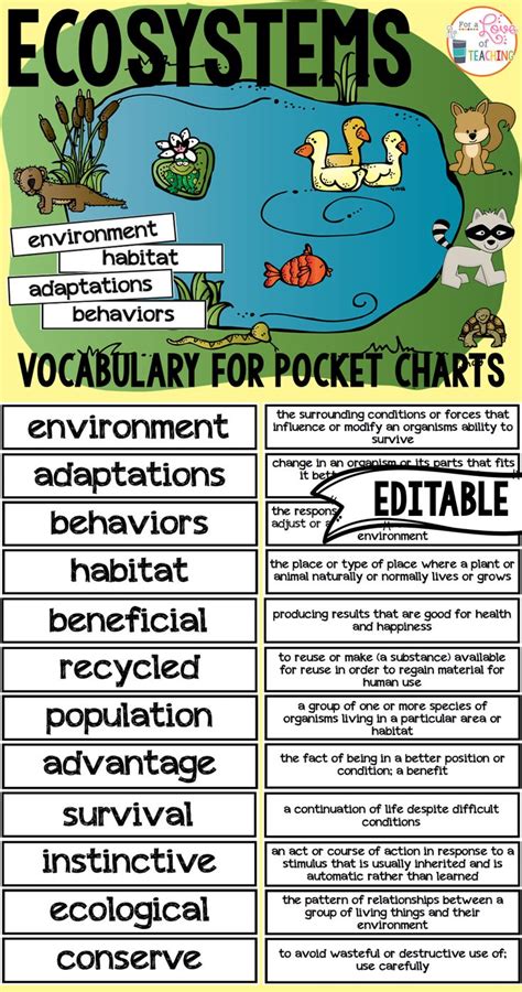 Ecosystem Lesson Plans 5th Grade