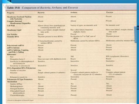 Ppt Chapter9 Microbial Taxonomy Powerpoint Presentation Free Download Id 541682
