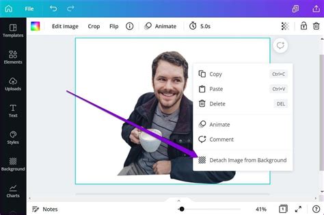 How To Remove And Replace Background In Canva