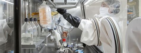 Understanding Isolators In The Pharmaceutical Industry A Simple Guide Zamann Pharma Support GmbH