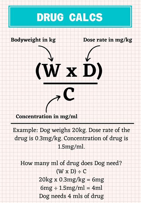 Vet Nurse Pocket Guide Drug Calculations Etsy