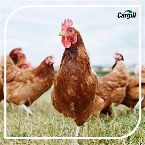 Dr Balamurugan E Posted On Linkedin