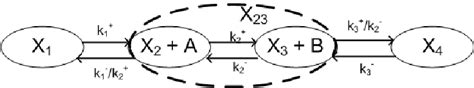 Reaction Graph Of The Reduced Sequential Kinetic Scheme Download Scientific Diagram