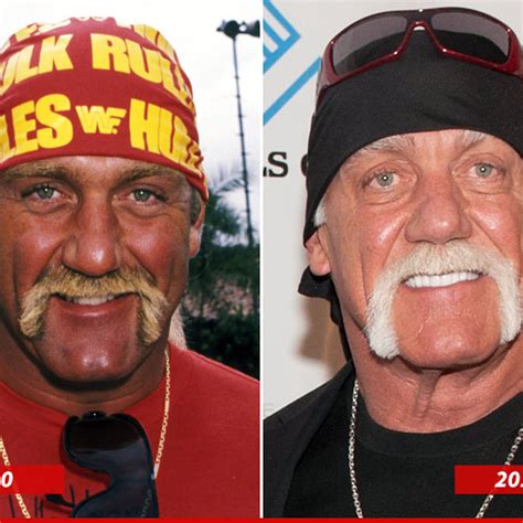 Hulk Hogan Mustache