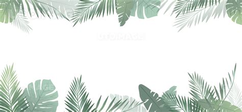 유토이미지 트로피컬 일러스트레이션 야자수 배경 Tropical Frame Illustration