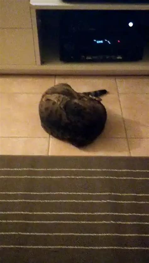 Whose Toes Are Those Scrolller