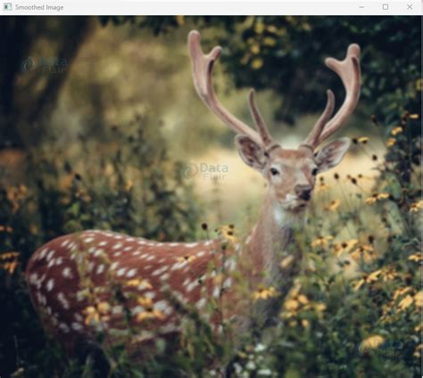 Image Filtering In Opencv Dataflair