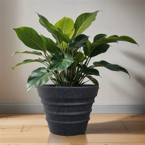 Wall Planter At ₹ 450piece Wall Planter In New Delhi Id 2855311262448