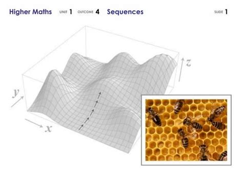 Fibonacci Numbers And Lucas Numbers