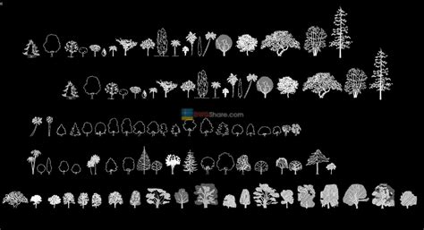 Trees In Elevation AutoCAD Blocks Free Download Free Download Website Of Autocad Blocks For