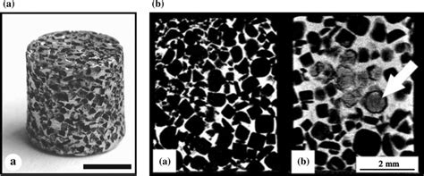 A Micrograph Of Cylindrical Implant Of Magnesium Alloy Az91d Fabricated Download Scientific