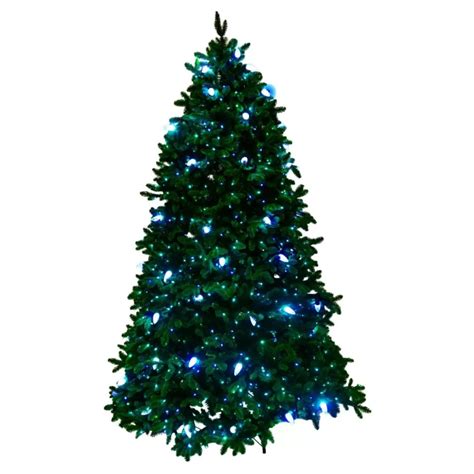 Holidaynamics Lights Holidynamics Rgb C9 Bulb Starter Kit With Remote Spend Christmas