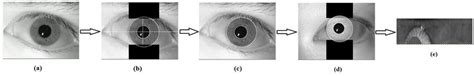 The Segmentation Process By Houghs Transforming And Iris Normalization