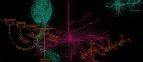 Animus Lab Carleton University