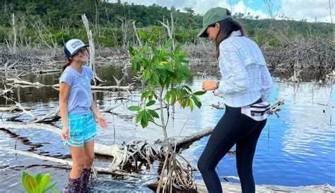 Climate Action Program