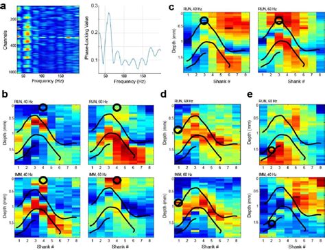 Topographic Analysis Of The Phase Locking Of Unit Activity To The Lfp