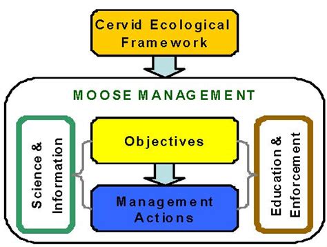 Moose Population Objective Guidelines Ontarioca