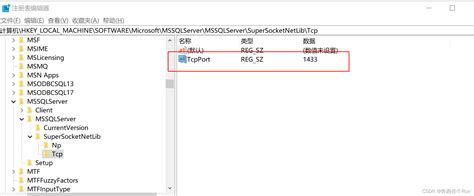 Idea启动java程序连接数据库失败network Error Ioexceptionconnection Refused