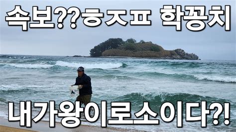 화진포 학꽁치 대박사건 내가 왕이다투망학꽁치 동해바다 Cast Youtube