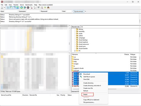How To Ftp Delete Multiple Files Easily Quick Guide For Beginners