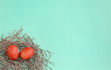 둥지에서 전통적인 부활절 달걀은 녹색 배경에 양파 껍질과 미모사 꽃을 사용하여 염색 복사 공간이 있는 맨 위 뷰입니다 0명에 대한 스톡 사진 및 기타 이미지 Istock