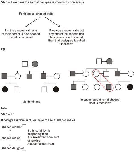 How To Identify A Y Linked Pedigree
