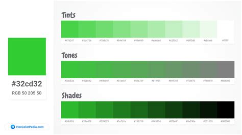 What Is The Color Of Lime Green Hexcolorpedia