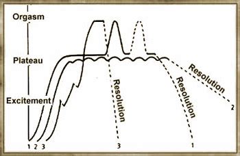 Female Anatomy Glossary Orlando Winter Park FL