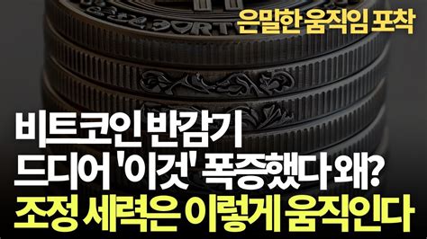 비트코인 반감기 이것 폭증 중 왜 지금 조정의 숨겨진 진짜 움직임 왜 이렇게 하고 싶어할까 Youtube