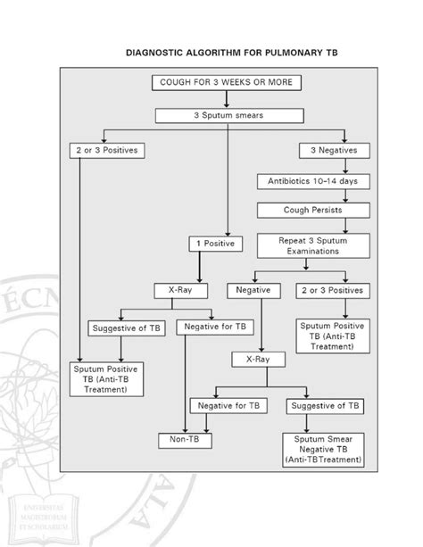 Pulmonary Tuberculosis Algorithm Pdf