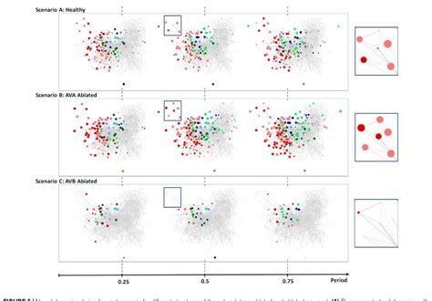 pdf neural interactome interactive simulation of a neuronal system