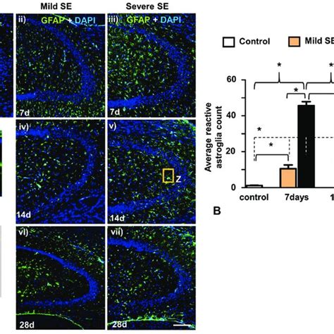 Comparison Of The Average Epileptiform Spike Frequency In 1 Day Epochs Download Scientific
