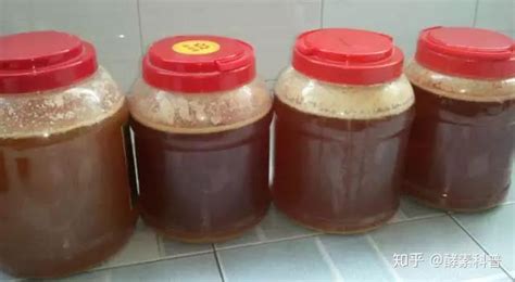 自制酵素在家怎么自制环保酵素来了解一下吧 知乎