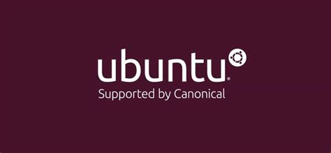 Canonical Ubuntu Supera I Milioni Di Utenti Linux Freedom