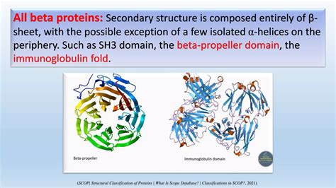 Protein Structure Classificationdomain Prediction Scop And Cath