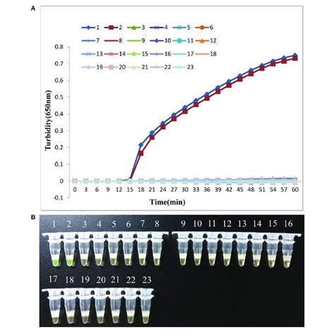 Lamp Assay Temperature Optimization Different Temperatures 60 67 • Download Scientific