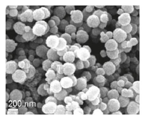 TEM A And SEM B Images Of Fe O SiO NH Cu P W Download Scientific Diagram