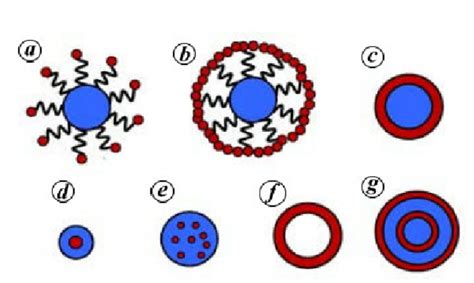 1 Variety Of Different Core Shell Particles A Surface Of The Core