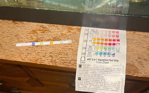 Water Testing For My Turtle Is The Water Safe To Put Him In Yet Rturtle