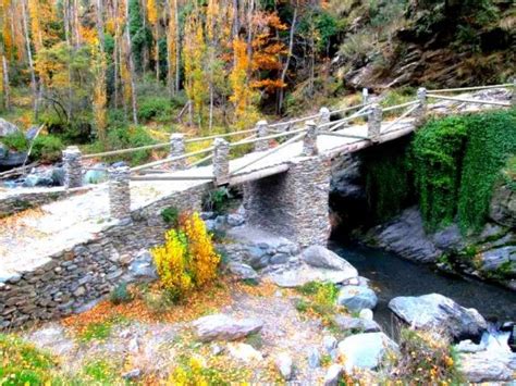Vakantiehuis In De Natuur Zuid Spanje Andalusie