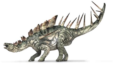 19 Kentrosaurus Facts