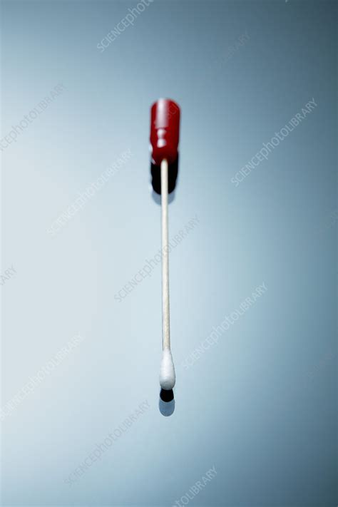 Sampling Swab Stock Image M390 0982 Science Photo Library
