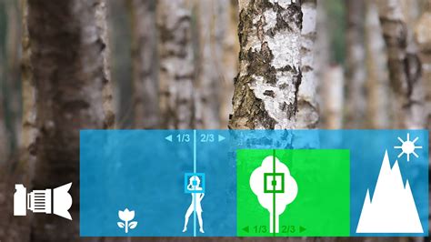 aps c vs full frame when sensor size matters learn photography by