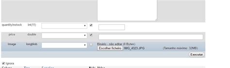 html php sql phpmyadmin valor binário mostrar em web page stack