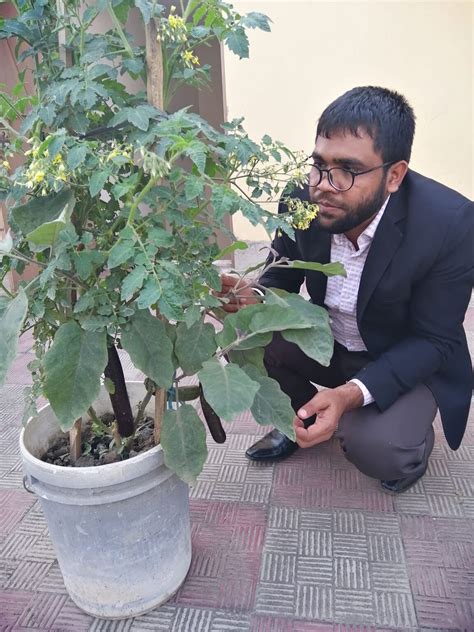 Mahadi Hasan On Linkedin Innovation Research Tomato