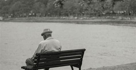 가을 개 개의 걷는 길 경치 경치 좋은 전망 고독 고령자 고요한 고전적인 스타일 공원 공원 벤치 그레이스케일 나무 노인 동반자 라이프스타일