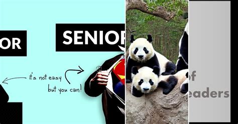 List Pandas Curated By Michael Henson Medium