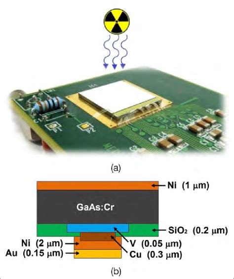 Photograph Of The Hybrid Detector Where The Location Of The Radiation Download Scientific