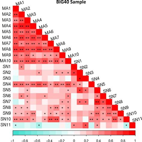 Genetic Correlation Matrix Of The Heritable Rsn Amplitudes Genetic